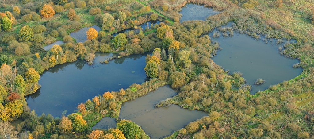 Blue Deal-project in de kijker: het Zammelsbroek in Geel - Onze Natuur