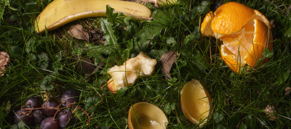 'Dat vergaat wel': wat gebeurt er met fruitafval in de natuur? - Onze ...