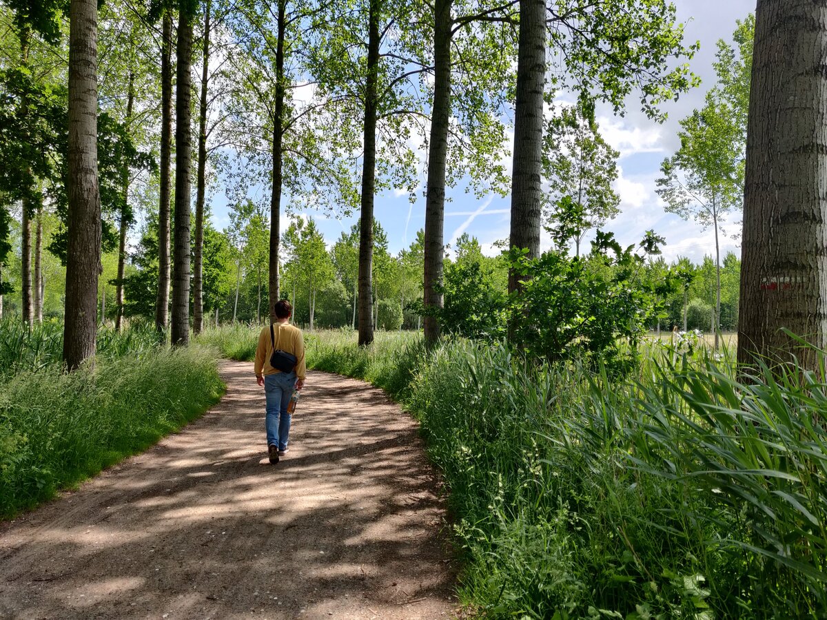 Uitgetest: stiltewandeling door het land van Stille Waters - Onze Natuur