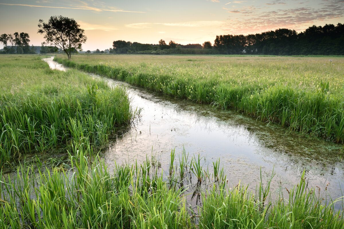 Naar de cinema voor ‘Onze Natuur, De Film’? Eerst een brokje natuur ...