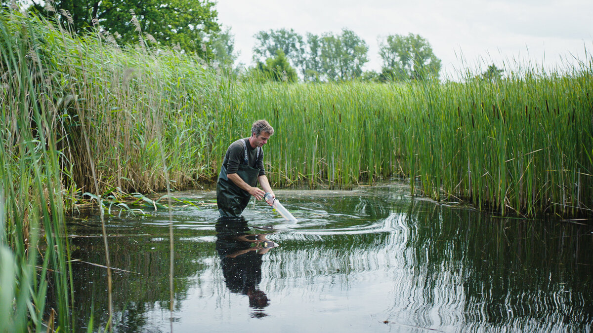 Onze Natuur Doorgrond: Aflevering 2. De wereld onder het wateroppervlak ...