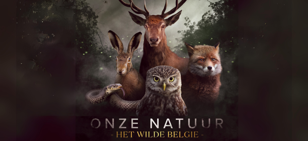 "Onze Natuur, Het Wilde België" is nu te zien in Nederlandse bioscopen ...